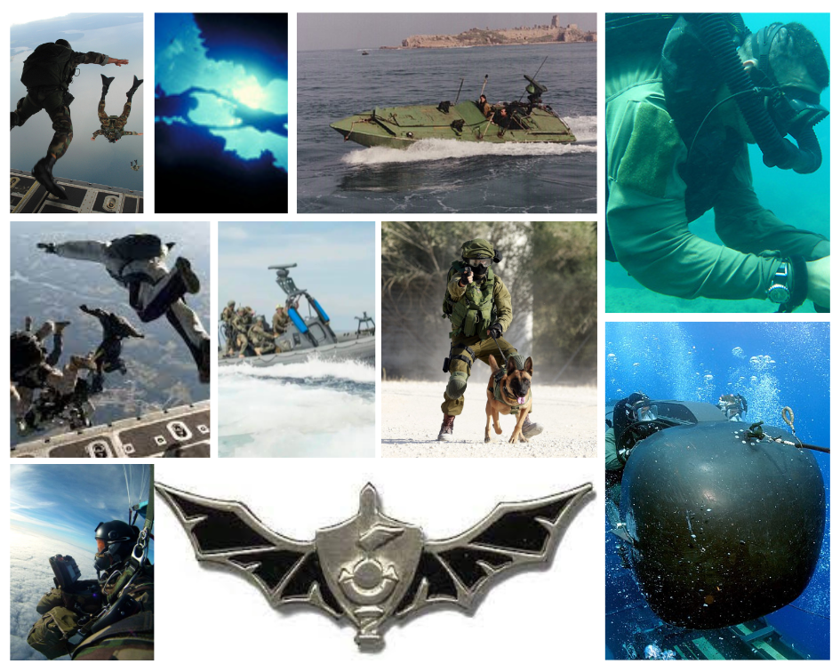 About the Founder - msf-13